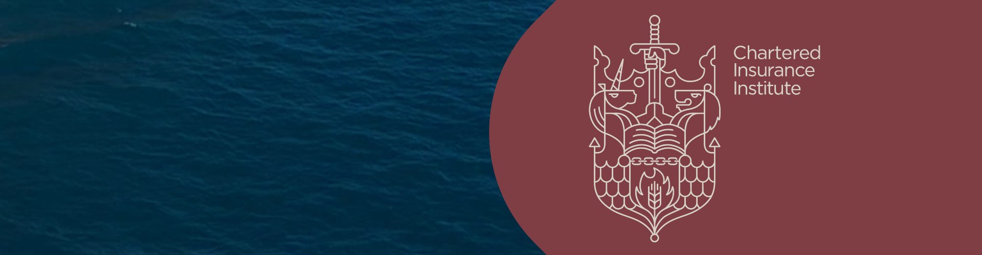 The Launch of the Insurance Influencer - CII campaign explained - Romero